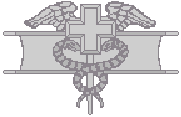 Expert Field Medical Badge - Army – Military XStitch Com