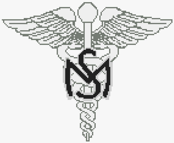 US Army Medical Services Badge (Collar Insignia) Kit – Military XStitch Com